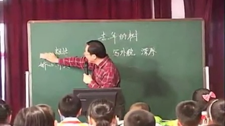 王崧舟《去年的树》