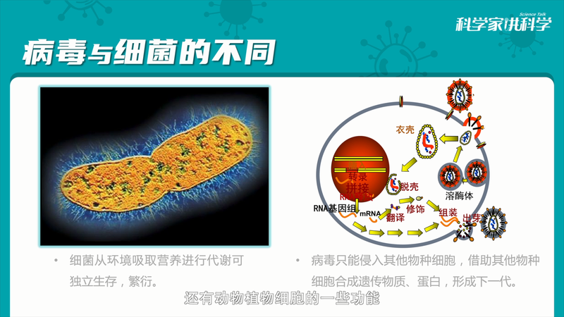 科学家讲科学-细菌与病毒