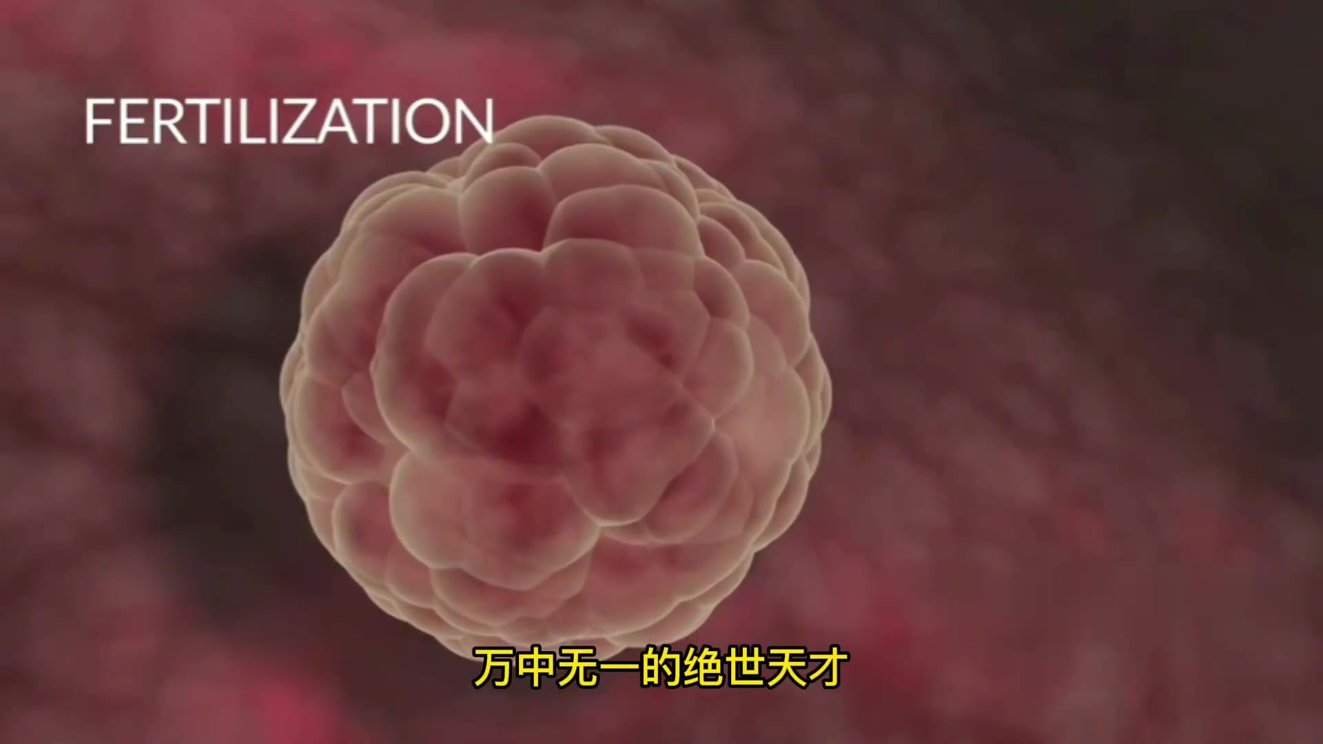 人类婴儿是如何形成的?2亿蝌蚪一起游泳,却只有一个能活下来