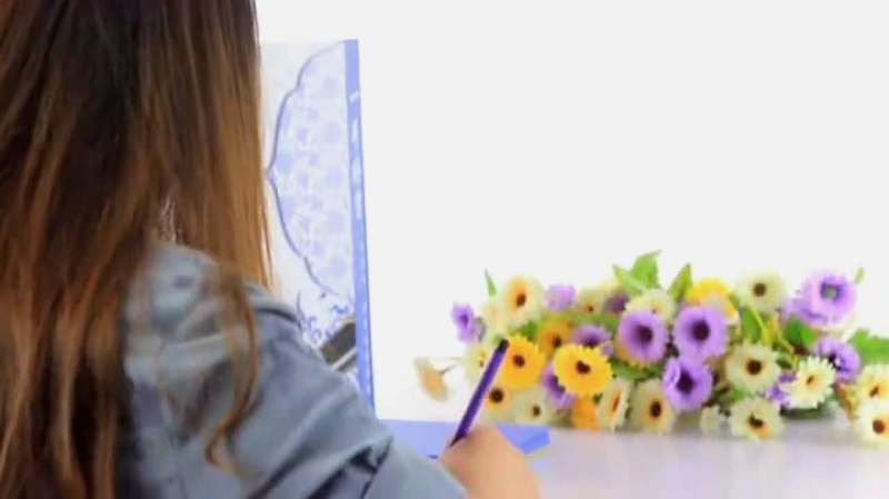 张神农数字化练字法如何写字好看硬笔书法课程