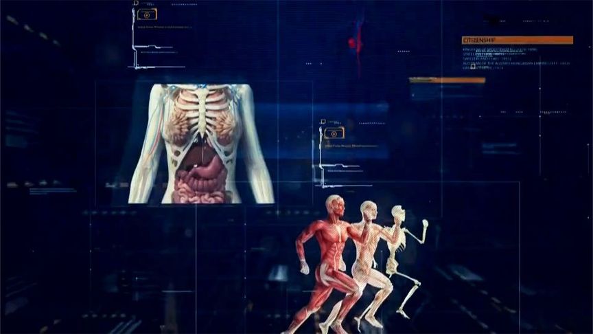 系统解剖学_神经系统-9.13脑和脊髓被膜、血管、脑脊液