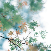黄晓云聊影视 