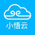 小悟云官方 