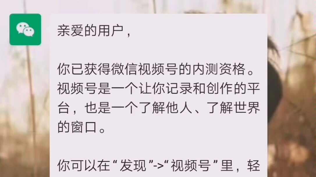 只要100粉丝就可以认证微信视频号,你太天真还是运营太天真?