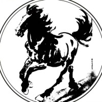 财经黑马老李 