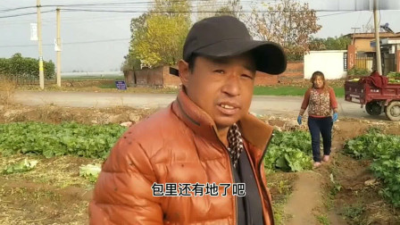 农村大哥不外出打工,两口子种10亩蔬菜年收入多少钱?听着不算少