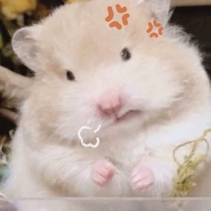 君辞 
