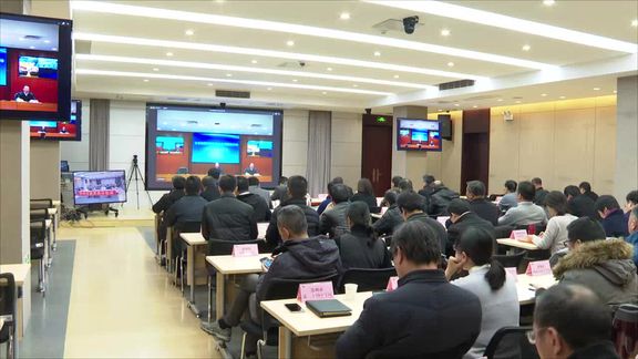 全省召开校园和校车安全专项整治行动工作电视电话会议