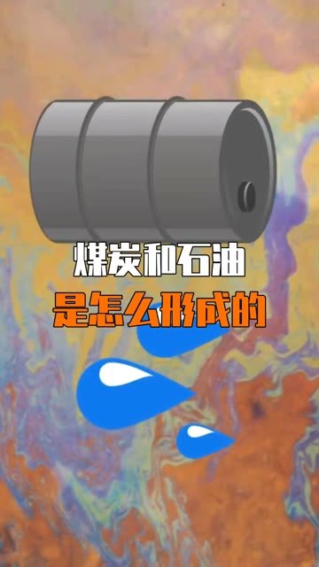 煤炭和石油的形成的