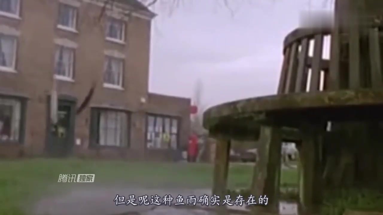 一出好戏同款,神奇的自然现象天空下雨,地面上全是鱼