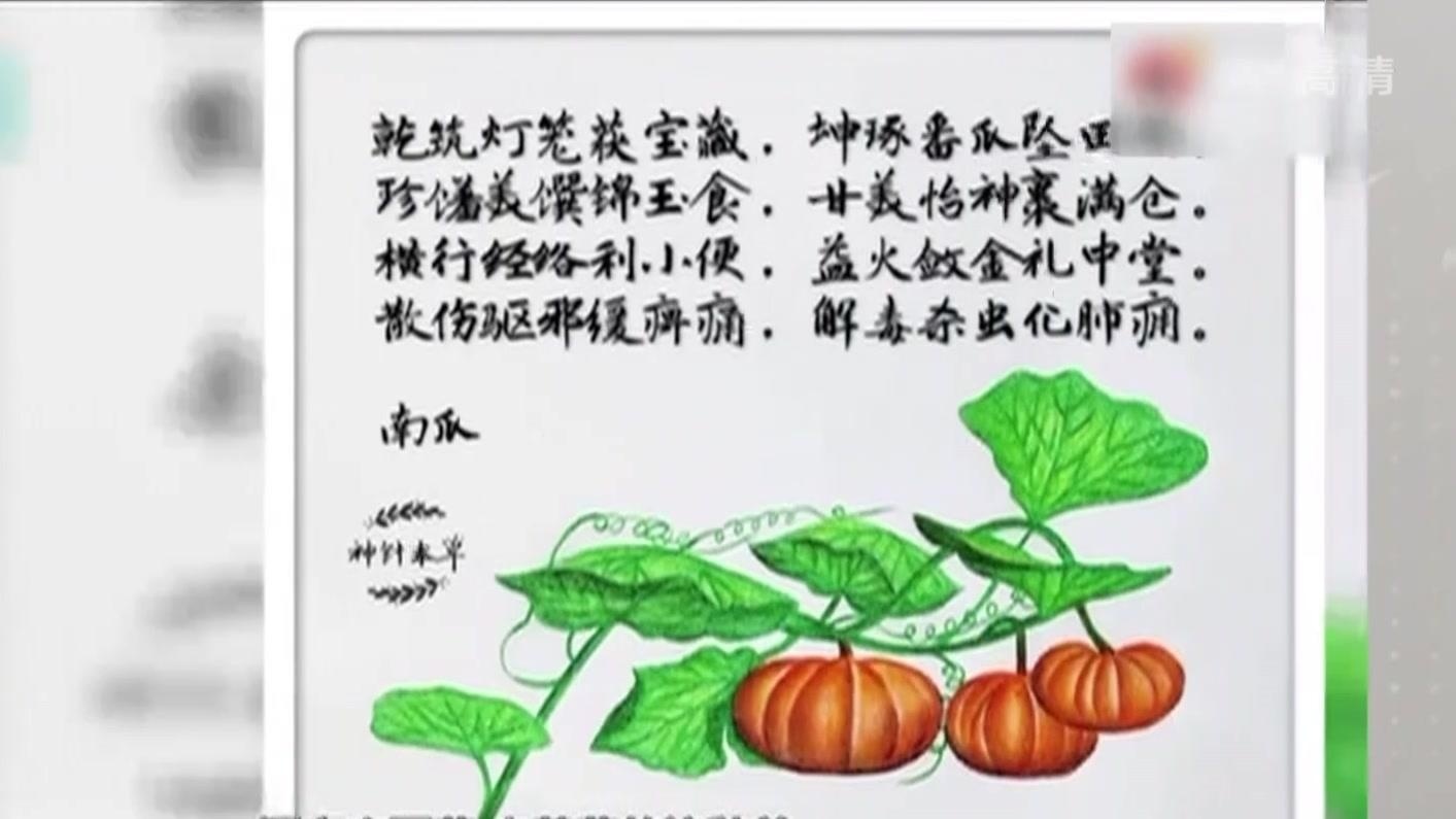 陕西:高校老师手绘500幅中草药 计划收录成册出版