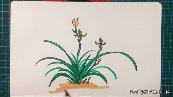 简笔画兰花的画法,记得收藏哦
