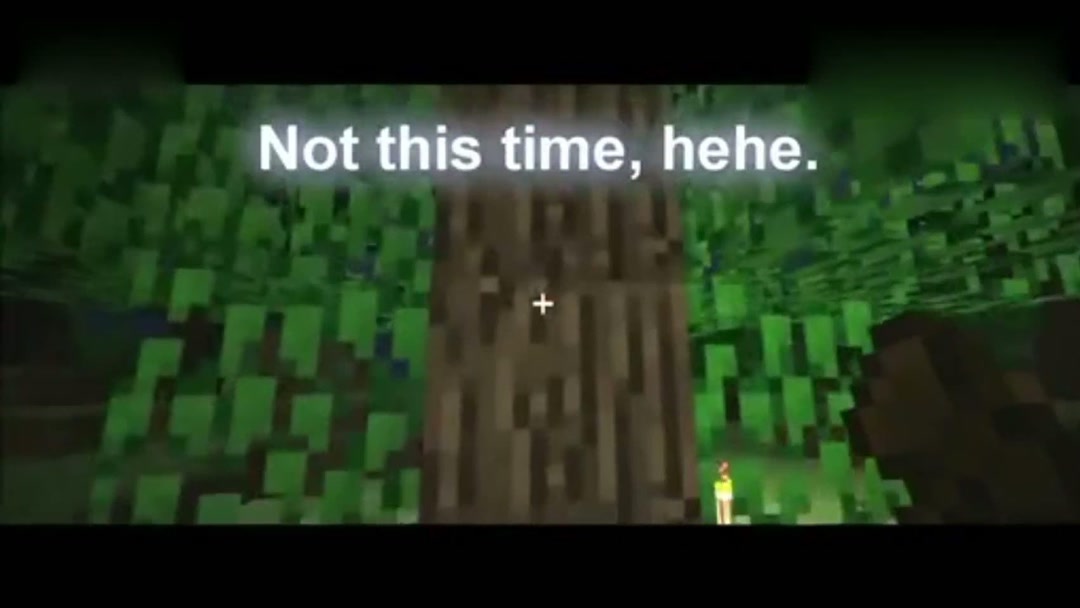 ★我的世界★Minecraft 籽岷的珍藏