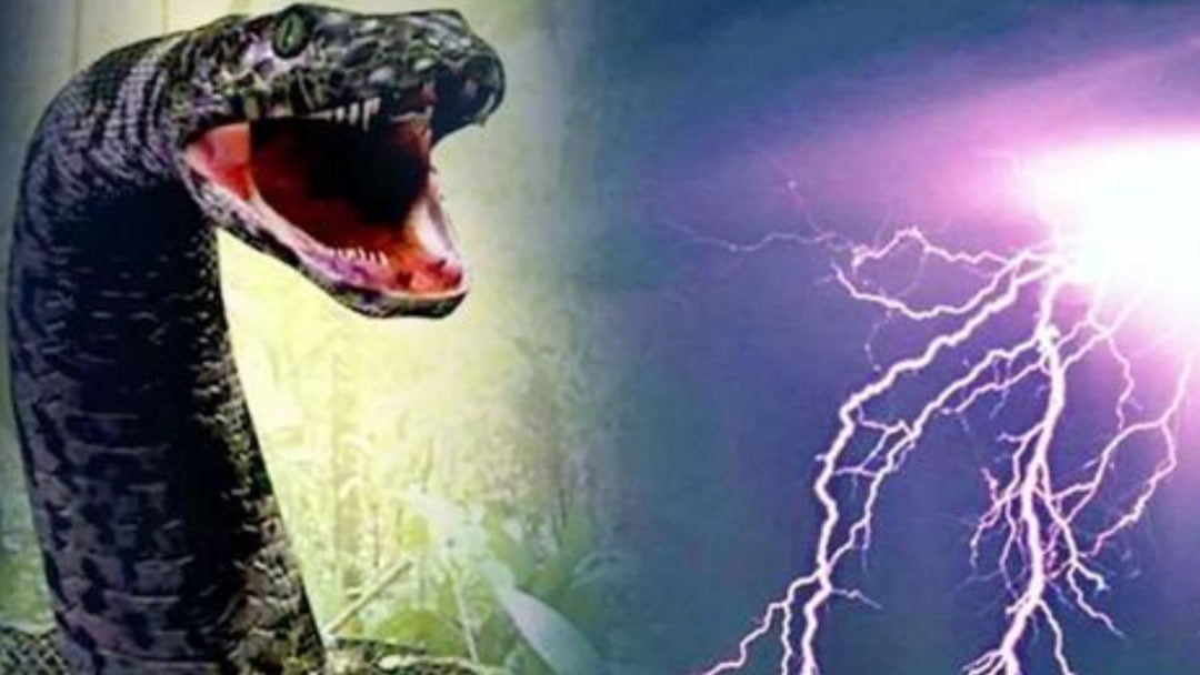 安徽巨蟒渡劫事件,老农目睹了整个过程,还原闪电下的灵异事件