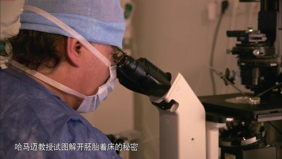 试管婴儿是如何诞生的?专家揭秘具体步骤…