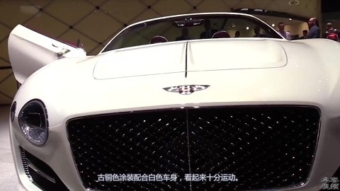 车头加个数字,就是世界上最豪华的电动跑车?特斯拉表示不服!