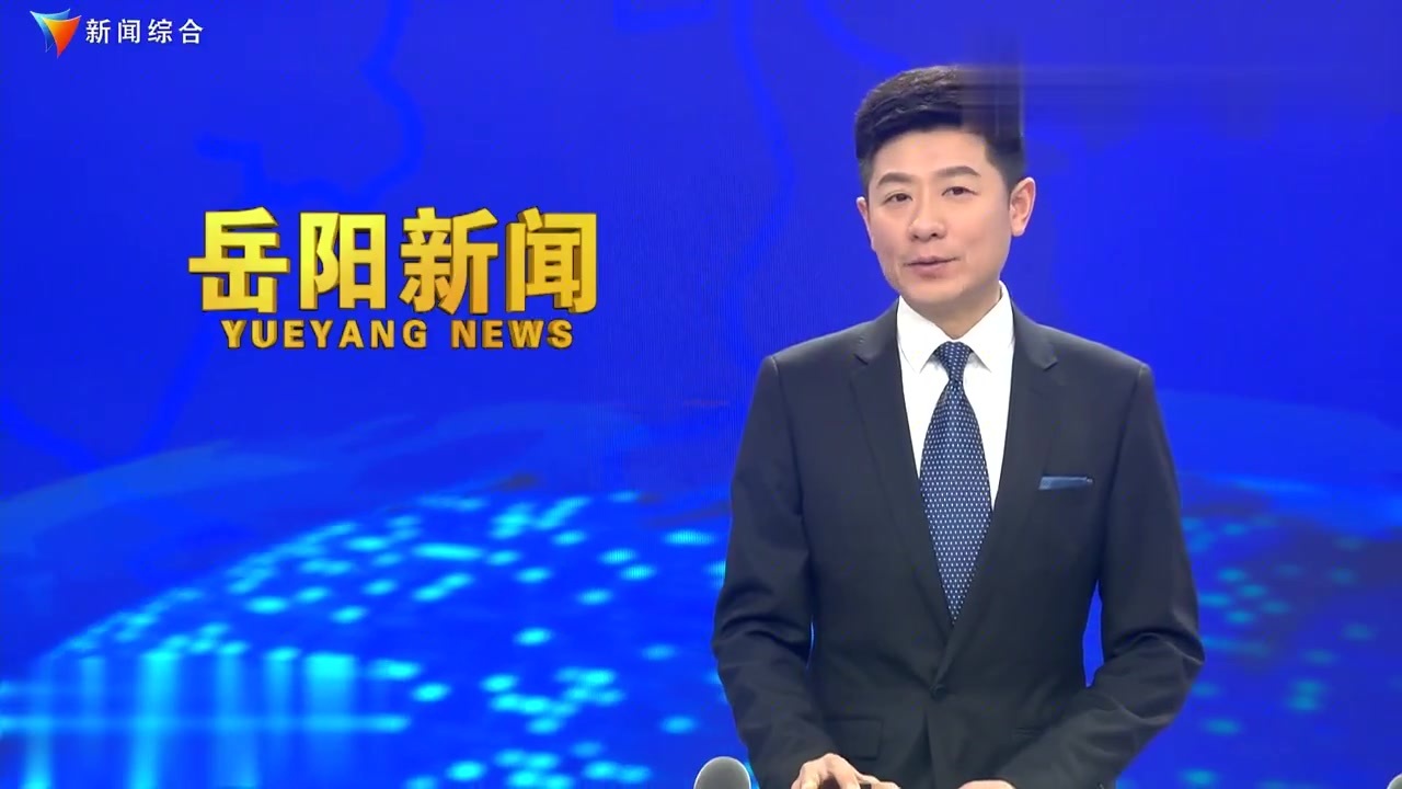 岳阳人才综合服务平台正式上线