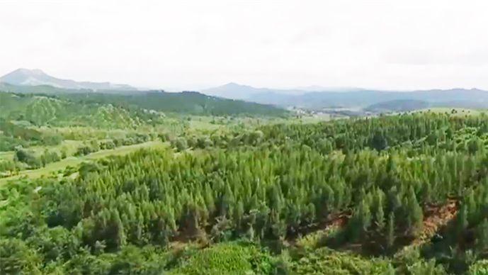 投入500多亿元 “三北”防护林工程取得重大进展