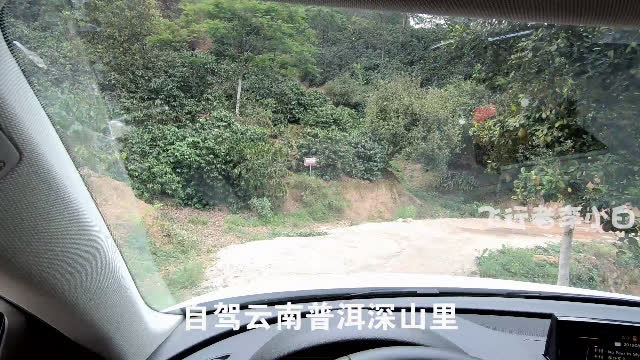 云南深山,寻找藏在山凹子里的小粒咖啡