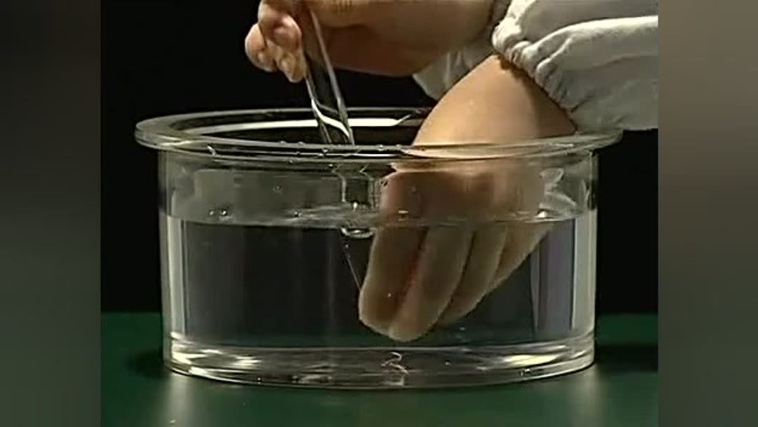 【新课程高中化学演示实验二】01二氧化硫的制备与性质