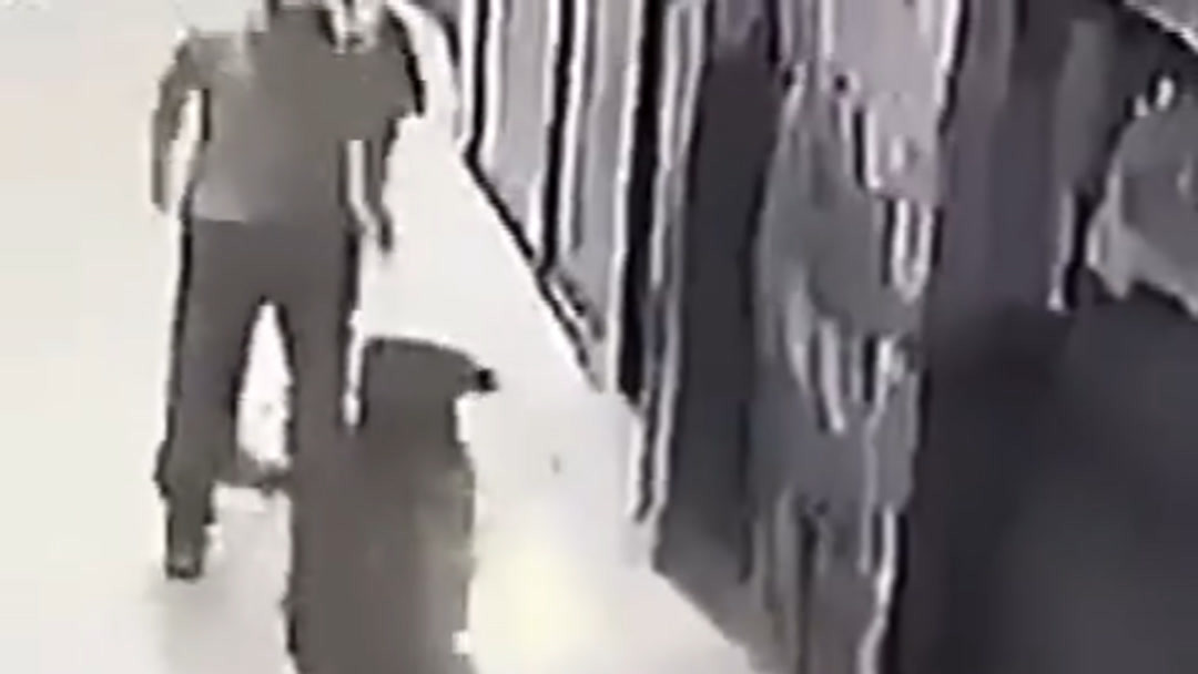 狗撕咬自己主人,这太恐怖了吧