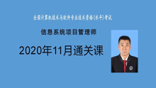 2020年11月信息系统项目管理师22项目集和项目组合管理