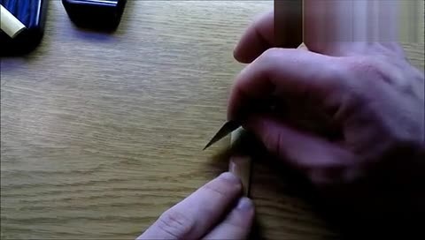 视频: 哨片修剪教程(99萨克斯网)