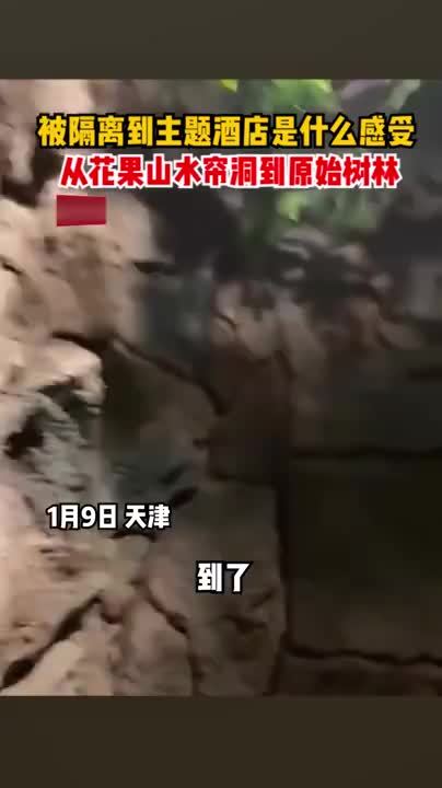 被隔离到主题酒店是什么感受?从花果山水帘洞到原始树林应有尽有