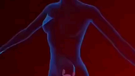 从怀孕到出生的过程