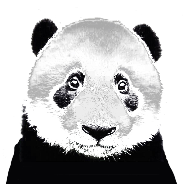 AVA无聊的沙雕君 