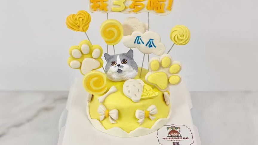 可可爱爱的毛孩子也要有仪式感满满的生日#宠物蛋糕 #宠物生日
