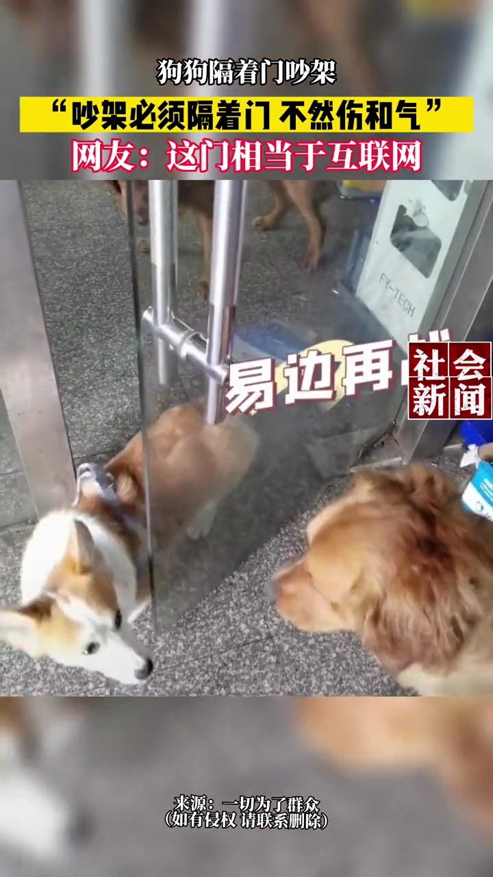 狗狗隔着门吵架 “吵架必须隔着门 不然伤和气” 网友:这门相当于互联...