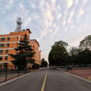 歧路摸羊 