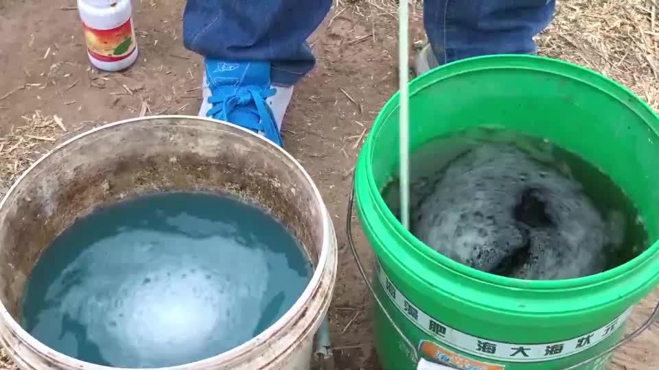 配农药如何进行二次稀释?现场教学,赶紧学起来