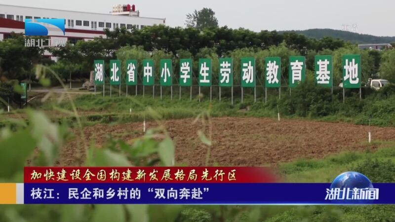 [湖北新闻]加快建设全国构建新发展格局先行区 枝江:民企和乡村的“...