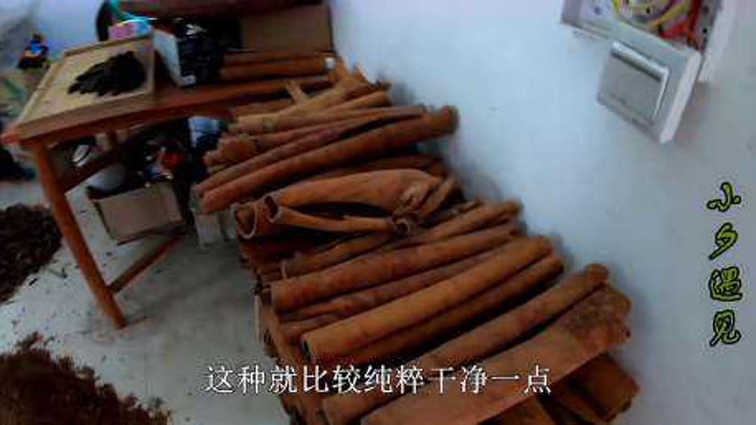 这就是药用或者煲汤用的桂皮,这么多在屋里有一有股香辣味