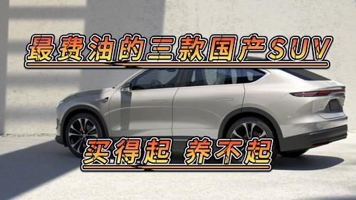 294. 最费油的三款国产SUV,买得起养不起,1块钱一公里,别以前夜冤种!