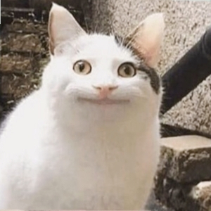 柳笀 