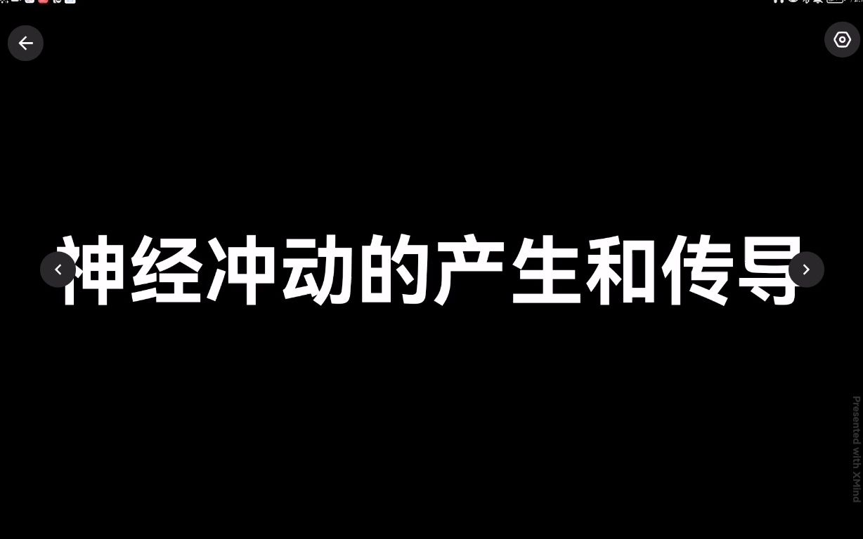 2.3神经冲动的产生和传导 胡熠