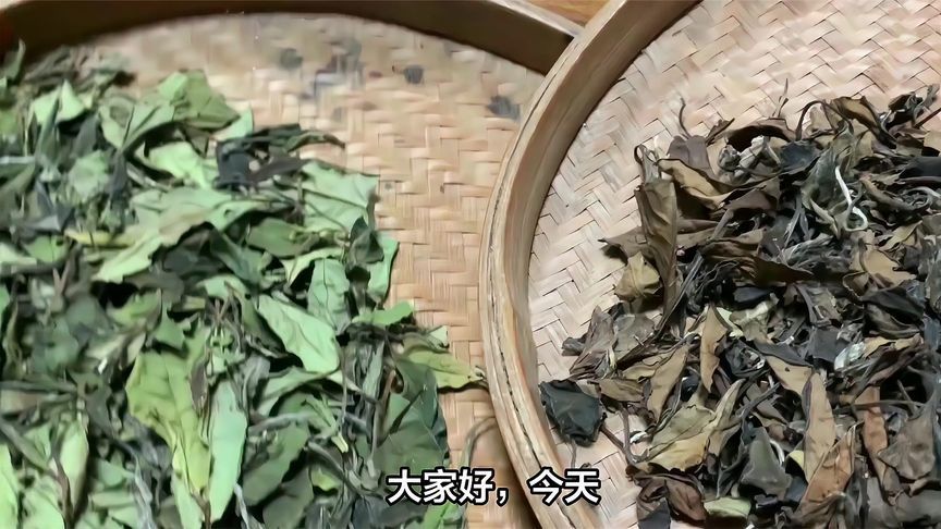 白茶有几个品种?不同年份的白茶,应该是什么颜色?