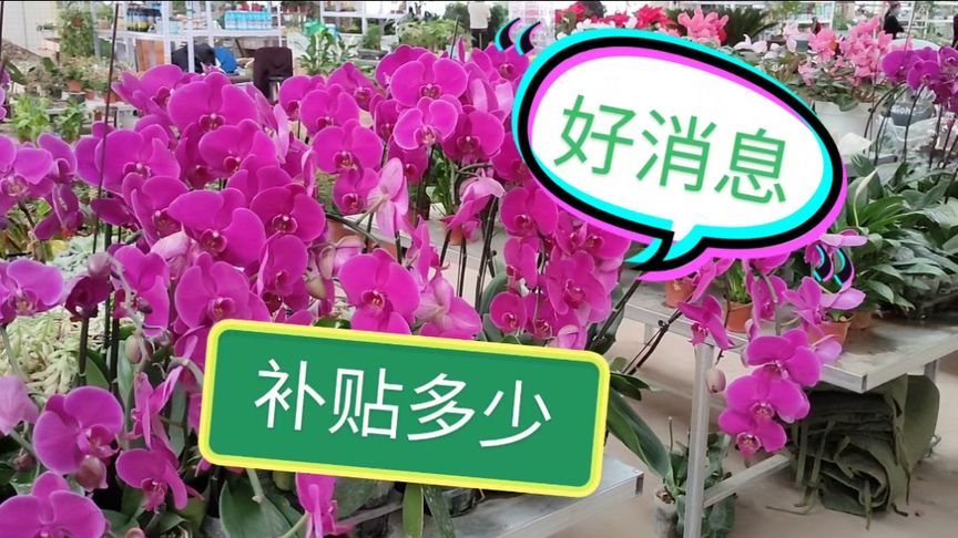 参保企业稳岗补贴已经到账,这次国家补了多少钱?感谢我们的政府