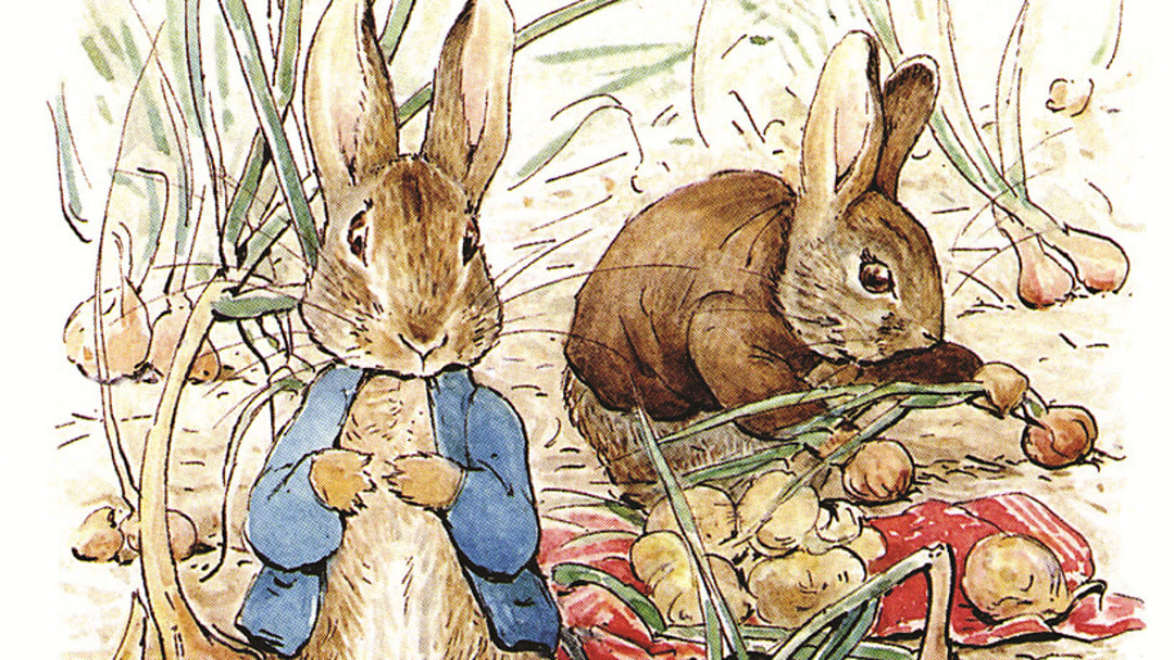 甄姐姐讲故事 第1季 彼得兔 第3集