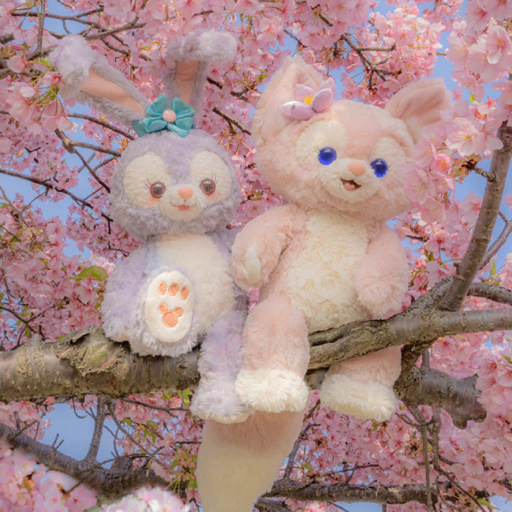 静待一世花开花谢 