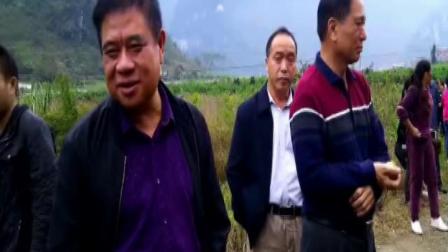 老科协种植罗汉果成功MPEG格式四次渲染