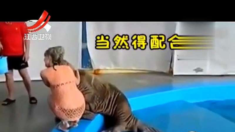 海洋馆里,美女正在跟海狮拍照,没想到这家伙憋着坏“臭流氓”