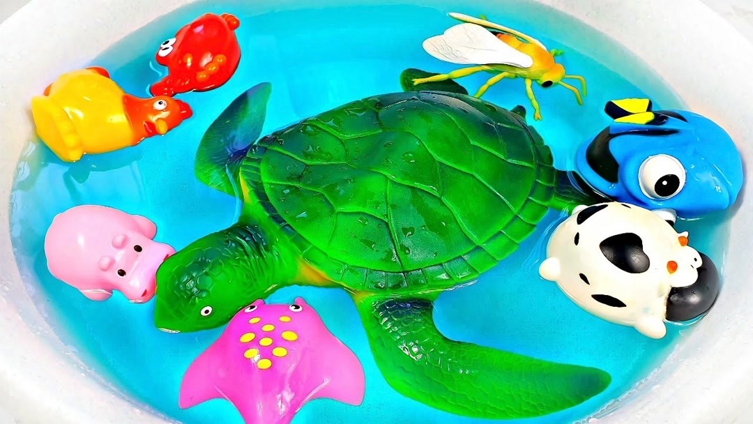 学习动物的名字和声音