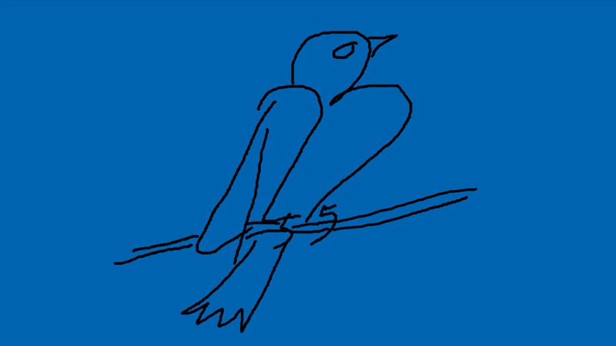 亲子游戏室:简笔画,用数字画鸟 #儿童启蒙#