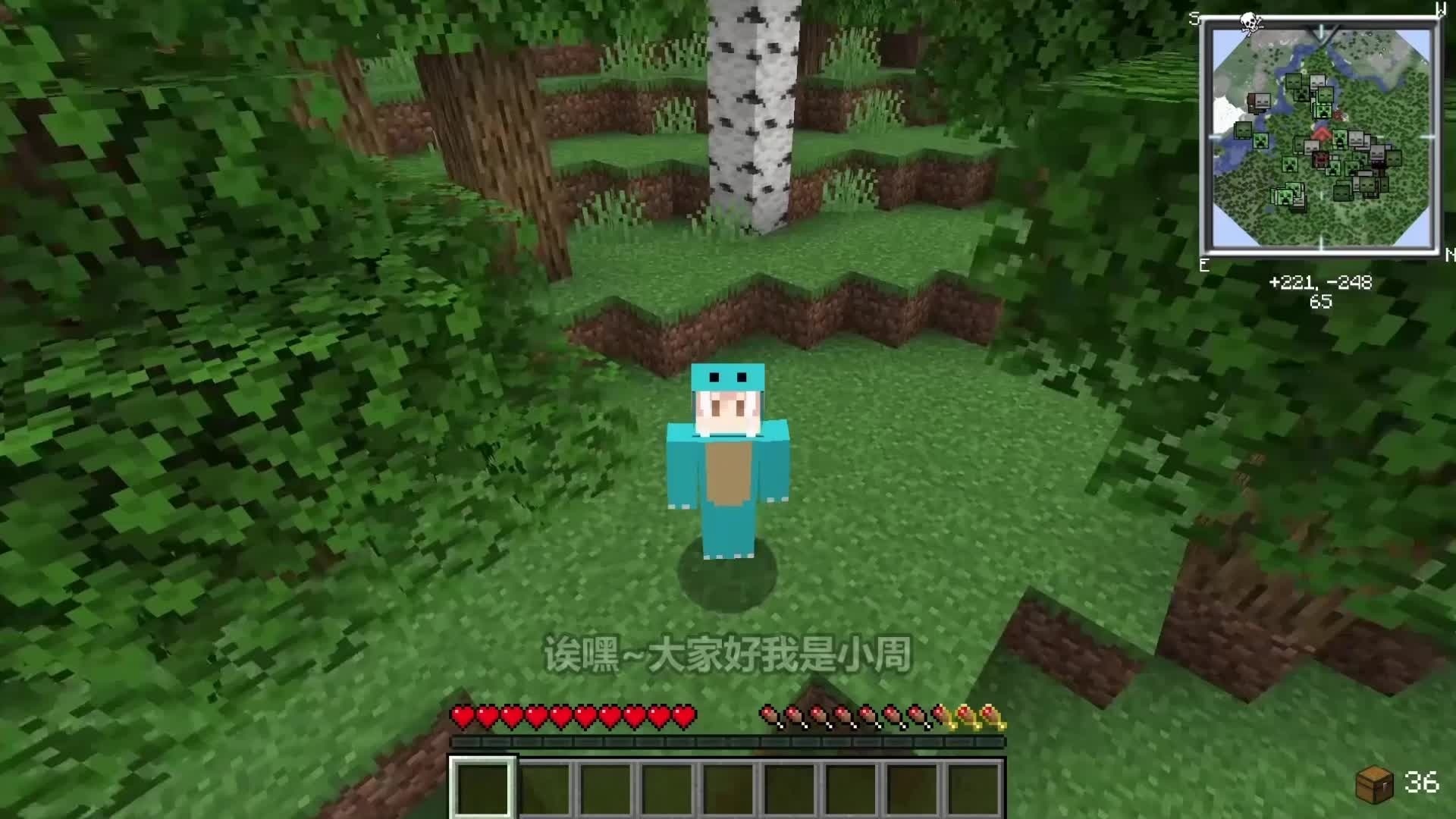 看到的怪物就会分裂!你该如何生存?#我的世界趣味生存