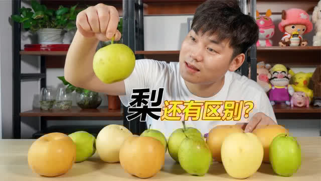 梨和梨的区别有多大小伙吃过后直呼这么多年的梨白吃了