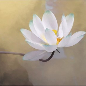 妙趣生活集结地 